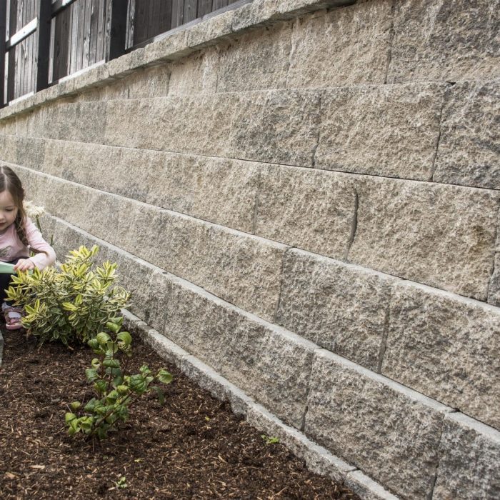 Country Stone Facing Brick